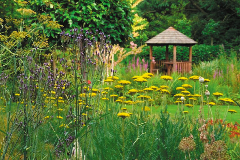 Transformed Dorridge garden opened to public to raise funds for charity ...