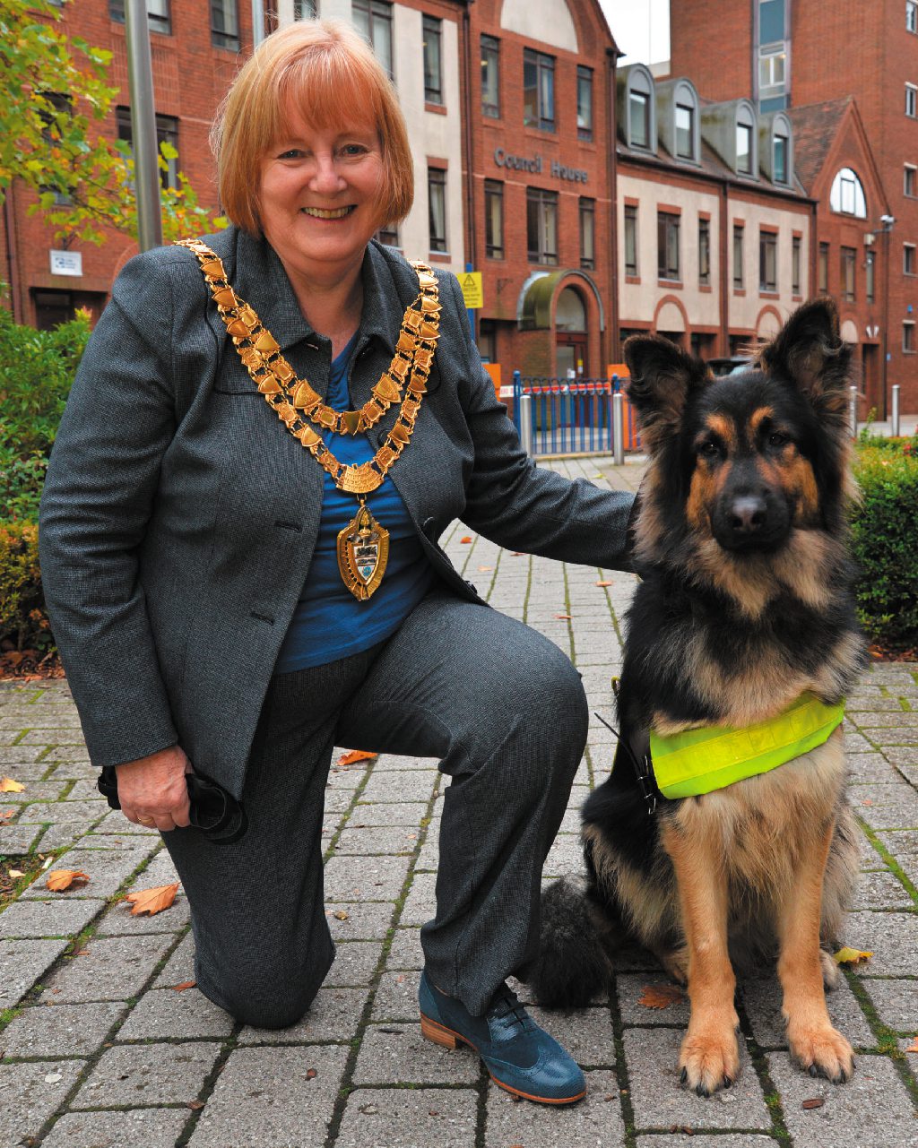 Guide Dogs show off their hard work at Touchwood - The Solihull Observer