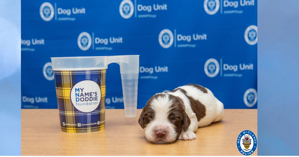 Latest West Midlands Police pups named after Motor Neurone Disease ...