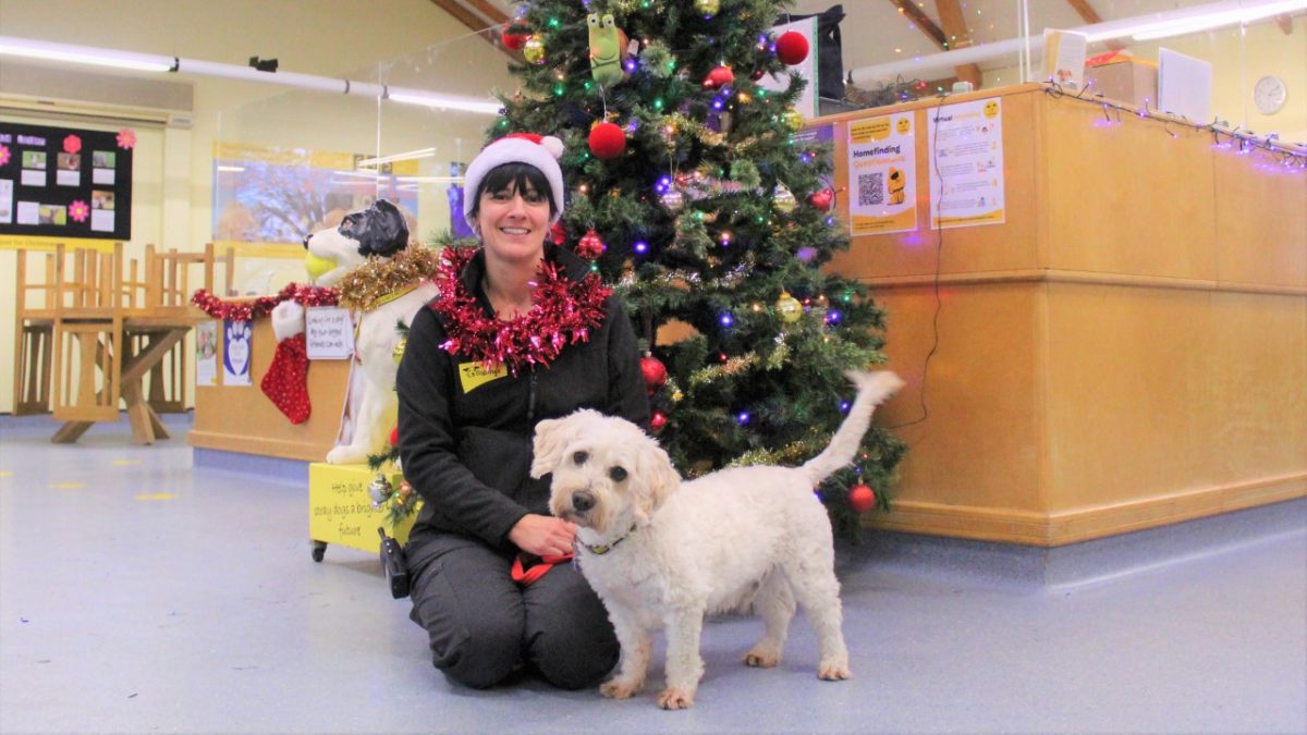 Sheldon ready to settle into heart of a loving home - The Solihull Observer