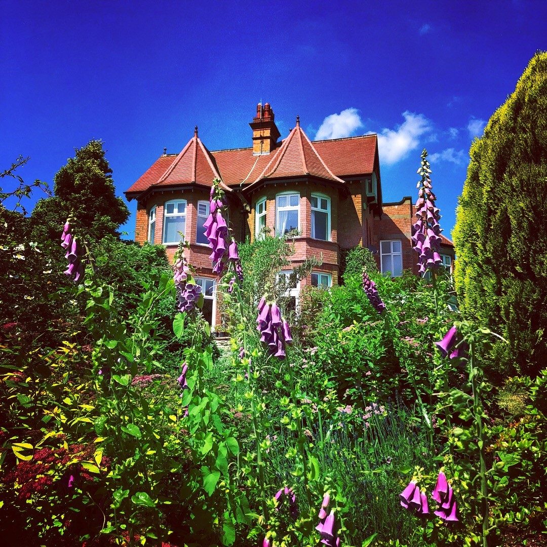 Dorridge garden set to welcome visitors and raise funds for charity ...