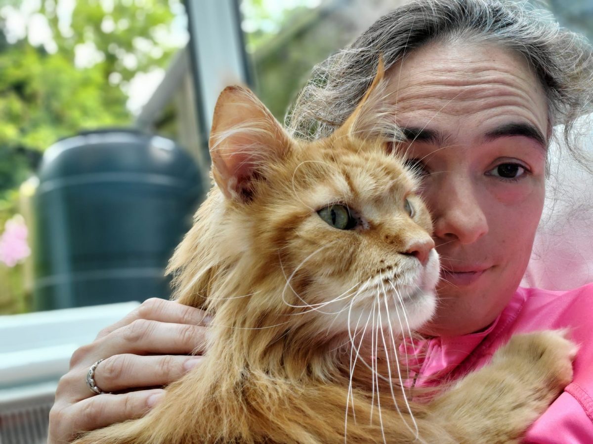 Solihull vets' unique tonic for injured cat - The Solihull Observer