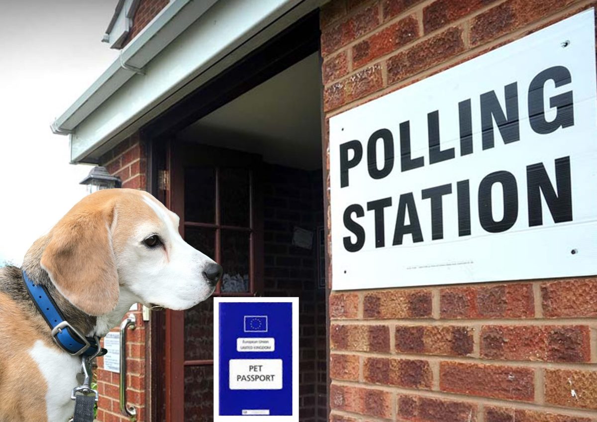 Solihull Council welcomes new ward boundaries in next month's local ...