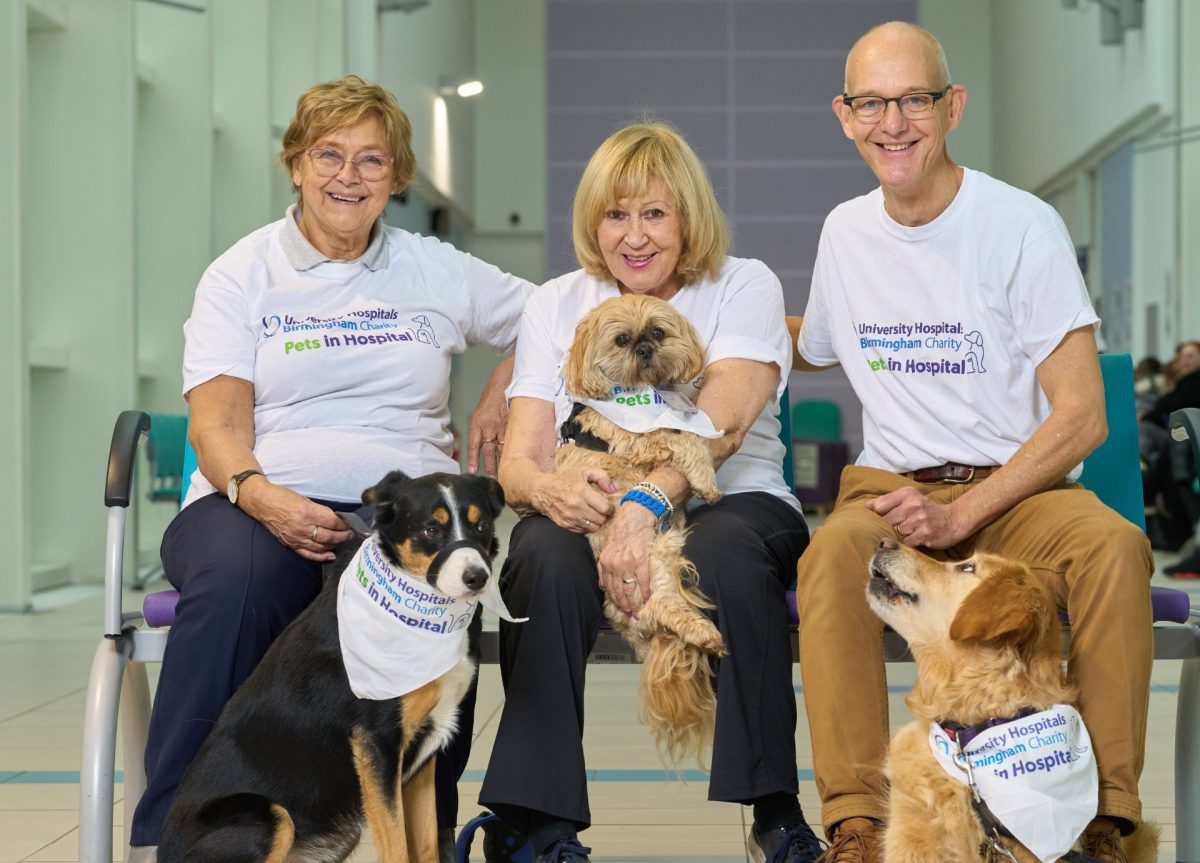 Hunt to find paw-fect volunteer to bring smile to hospital patients ...
