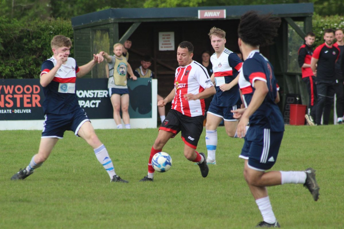 FOOTBALL - Earlswood Town secure safety despite four-game losing run ...