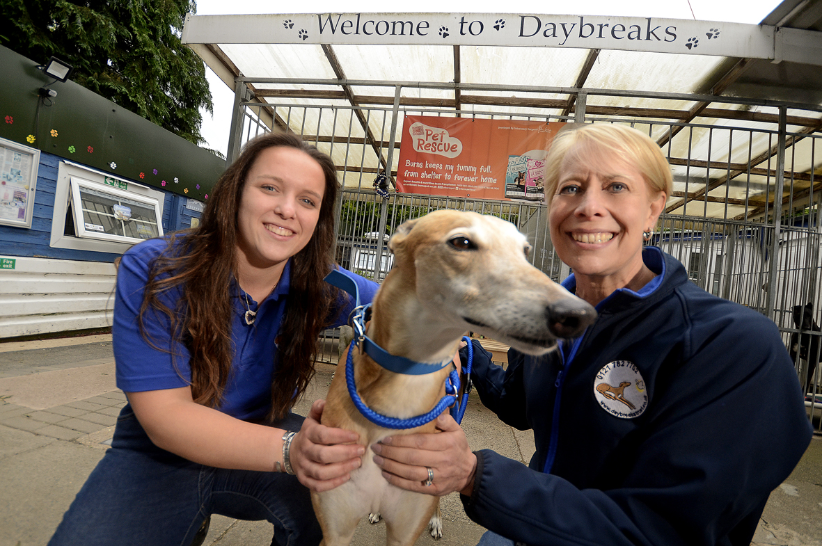 Elmdon greyhound charity says farewell to founder after 18 years with ...