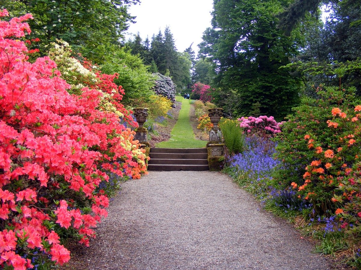 Garden Makeovers: Transforming Your Outdoor Space Into a Sanctuary ...