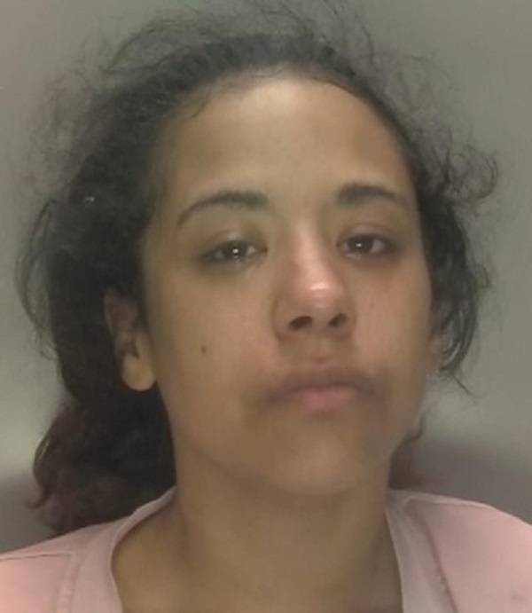 Appeal to find missing Storm - The Solihull Observer