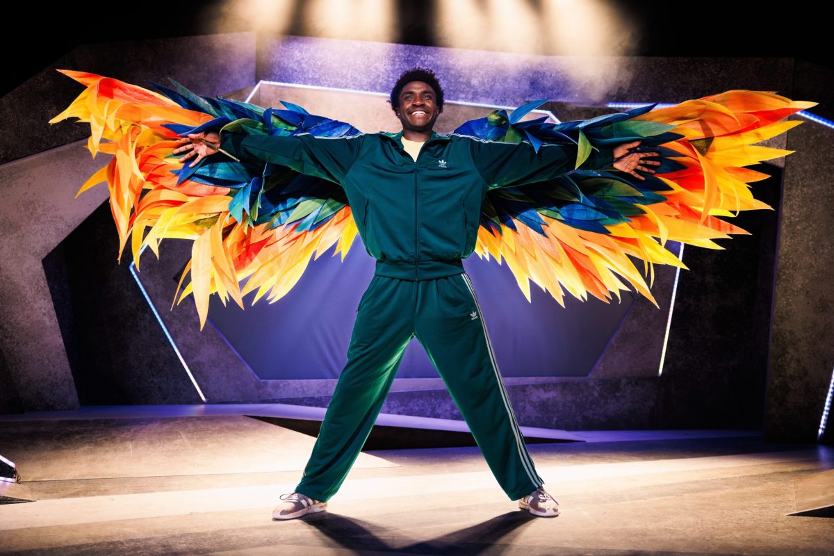 REVIEW - Imagination takes flight with excellent The Boy With Wings at ...