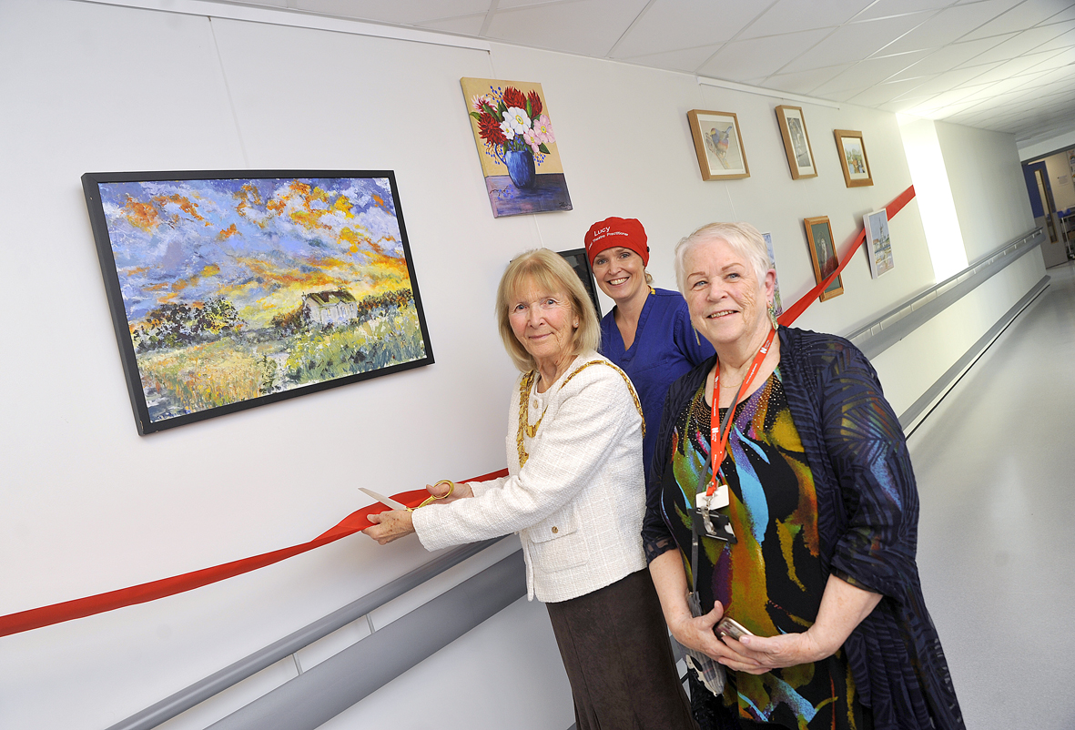 Inspirational and calming art gallery opens at Solihull Hospital - The ...