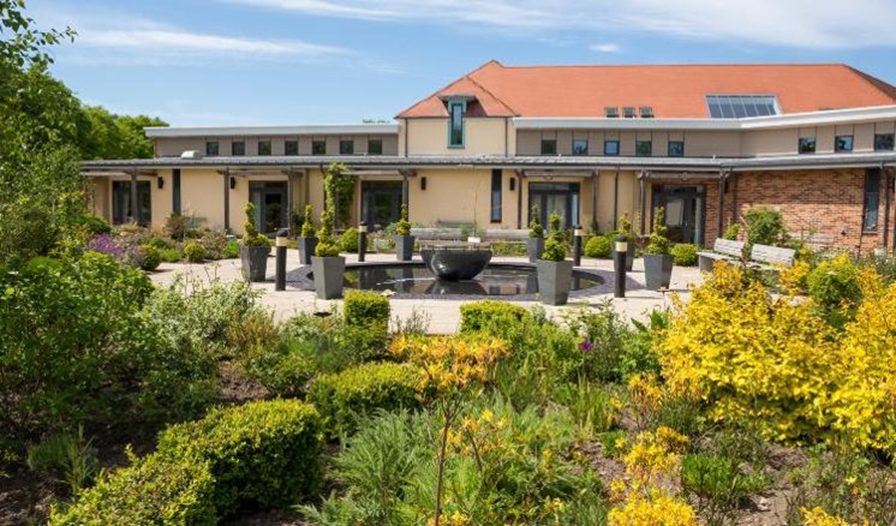 Marie Curie Hospice's garden in full bloom ready to welcome visitors ...