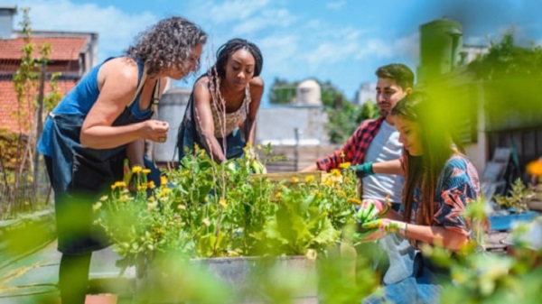 Funds on offer to create green spaces across West Midlands - The ...